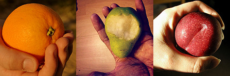 A Fruitful Farm to Food Bank Celebration - California Association of ...