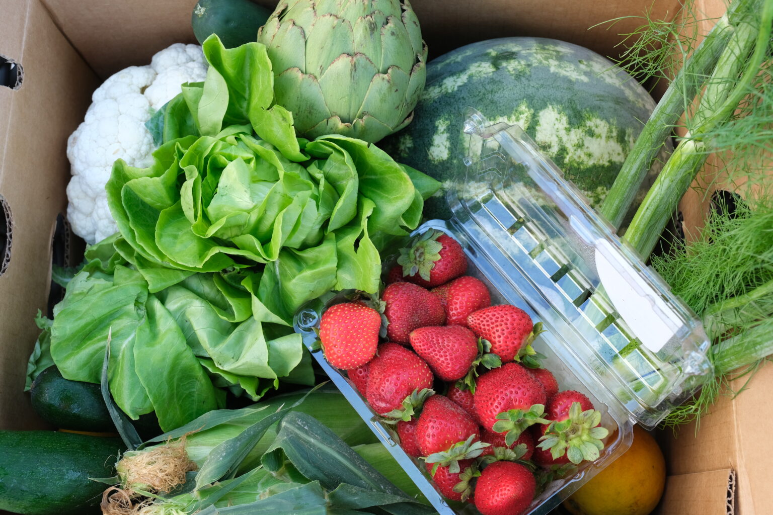 #MemberMonday: Jacobs & Cushman San Diego Food Bank - California ...